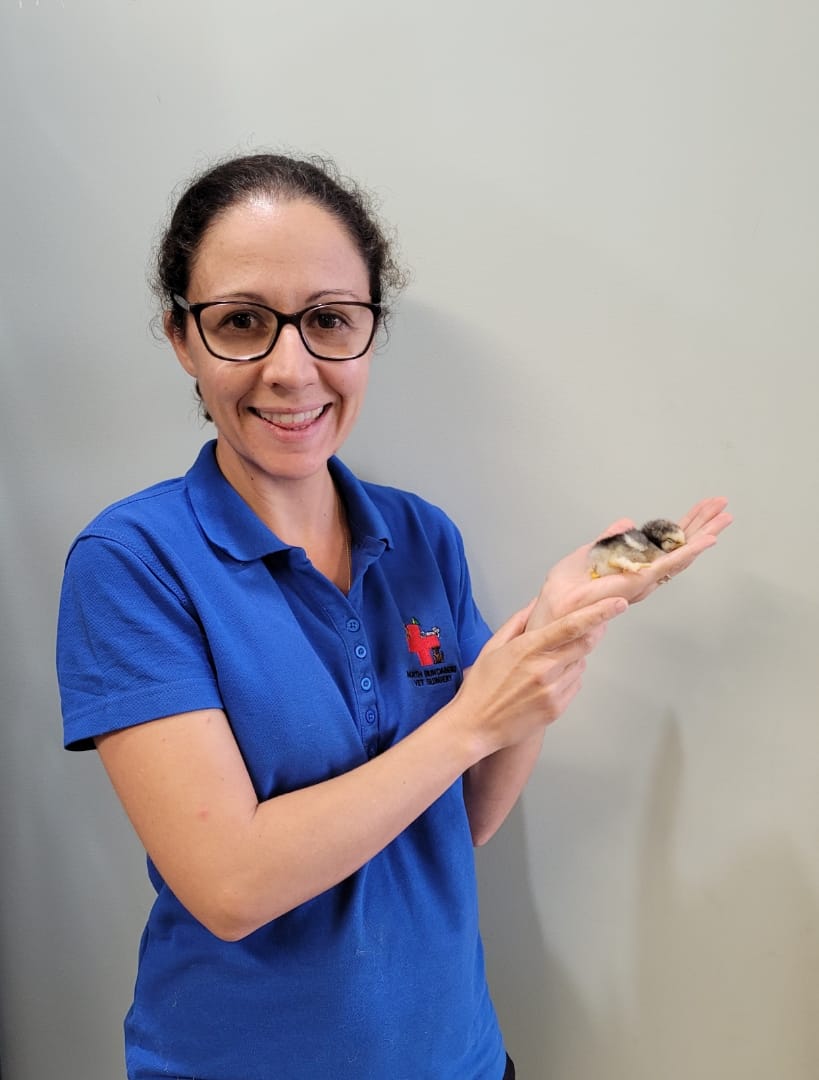 MEET DR NATALIE! - North Bundaberg Vet Surgery